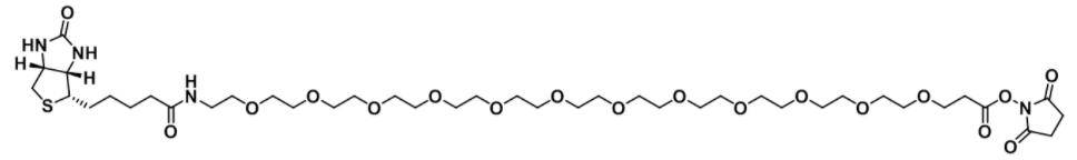 Biotin-PEG12-NHS ester，生物素-PEG12-活性酯