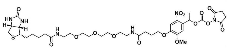 PC Biotin-PEG3-NHS carbonate ester ，PC生物素-PEG3-NHS碳酸酯