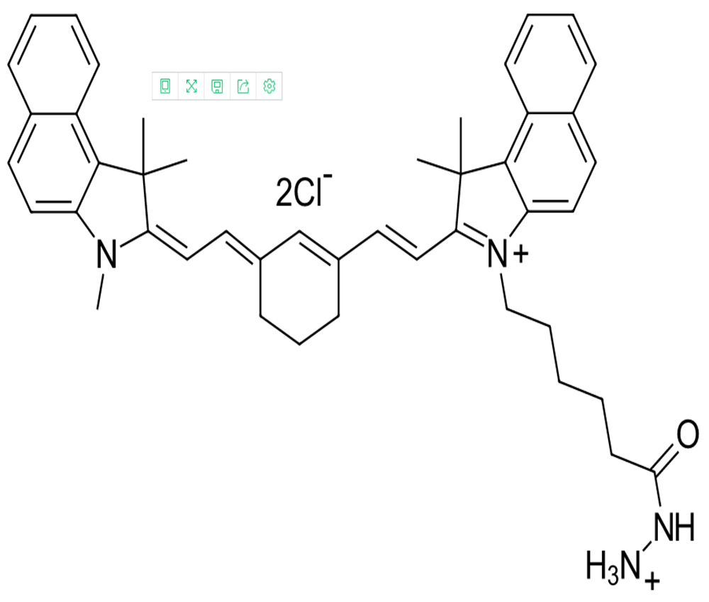 花青素类Cy7.5酰肼，Cyanine7.5 hydrazide_选购指南_技术文章_西安凯新生物科技有限公司
