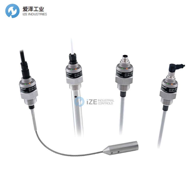 DINEL液位计DLM-35N-22-G1-I-C-E1500DLM-35N-22-G1-I-C-E1500-阿仪网