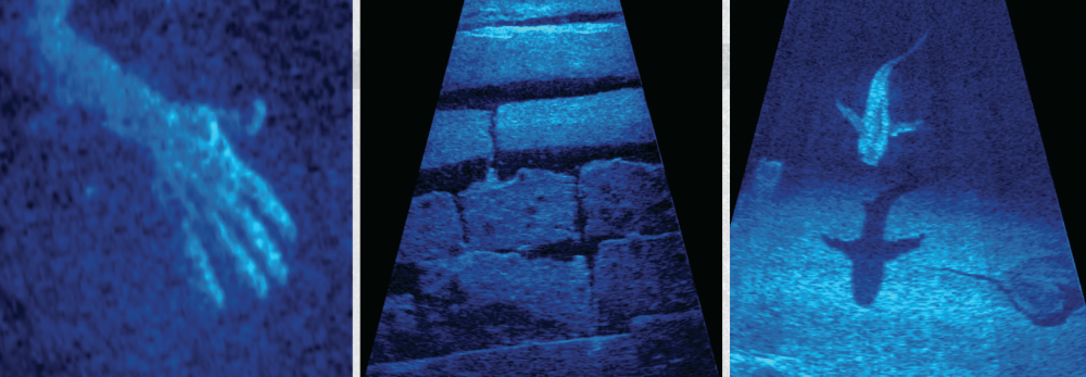 ARIS Defender 3000 双频识别声呐 集成ROV 手持式声呐-京翰科技（深圳）有限公司