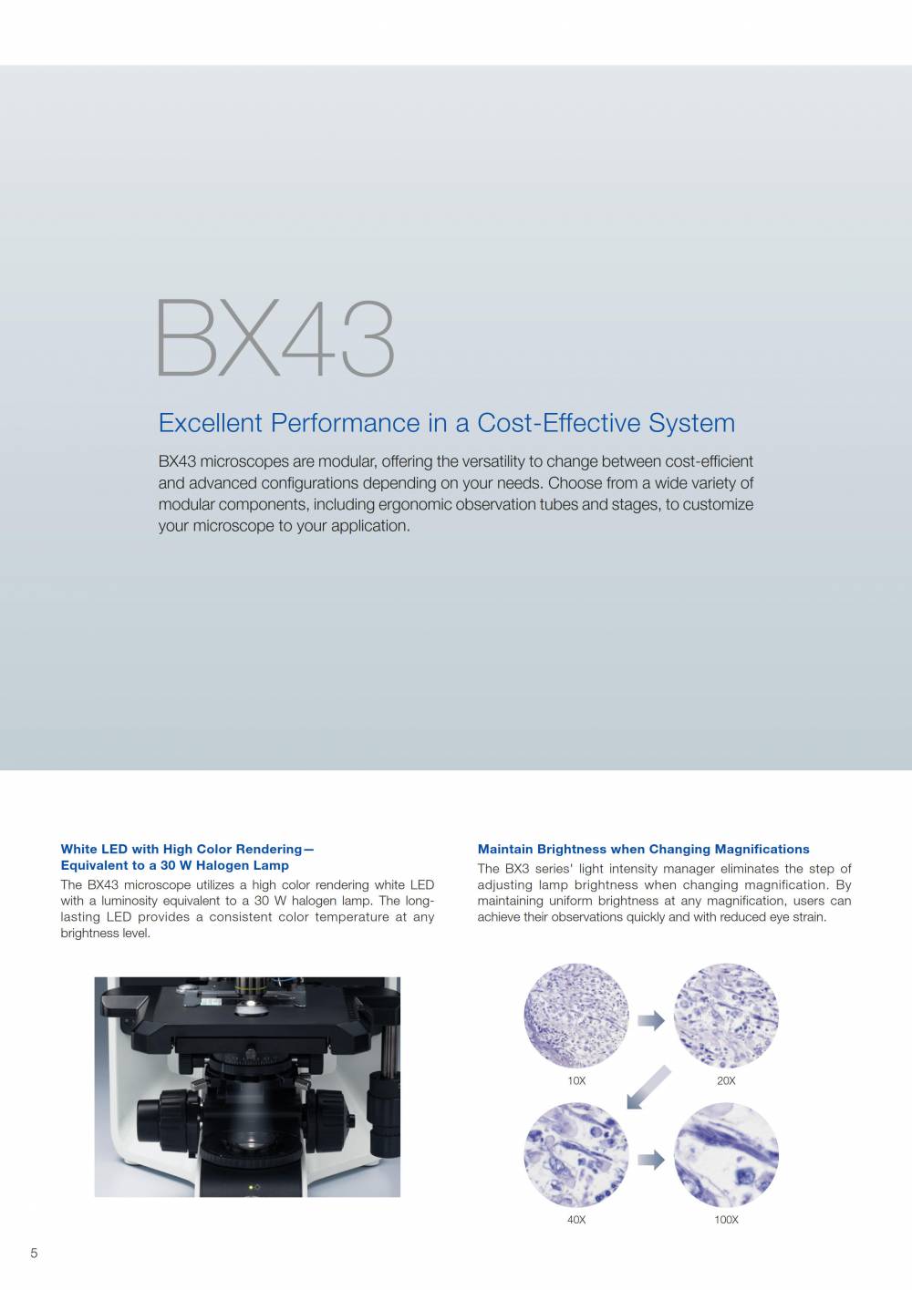 奥林巴斯生物显微镜BX43高色彩还原您的样品