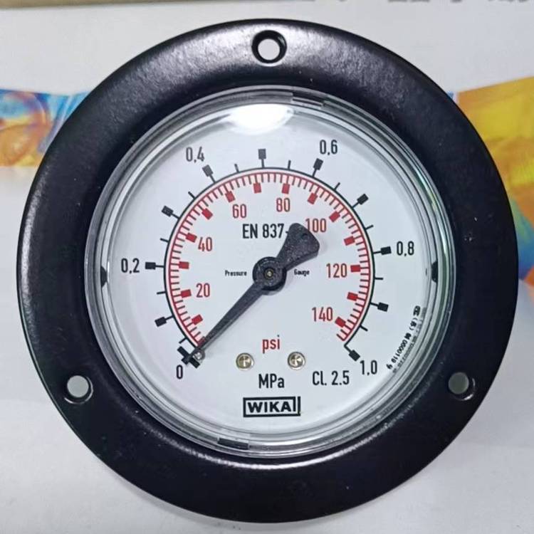 德国威卡WIKA压力表213.53.063 量程0-1MPA 螺纹G1/4B 轴向带边图片】***德国威卡WIKA压力表213.53.063 量程0-1MPA 螺纹G1/4B 轴向带边图片大全 ...