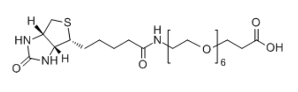 Biotin-PEG6-acid cas 1352814-10-8 生物素-六聚乙二醇-酸