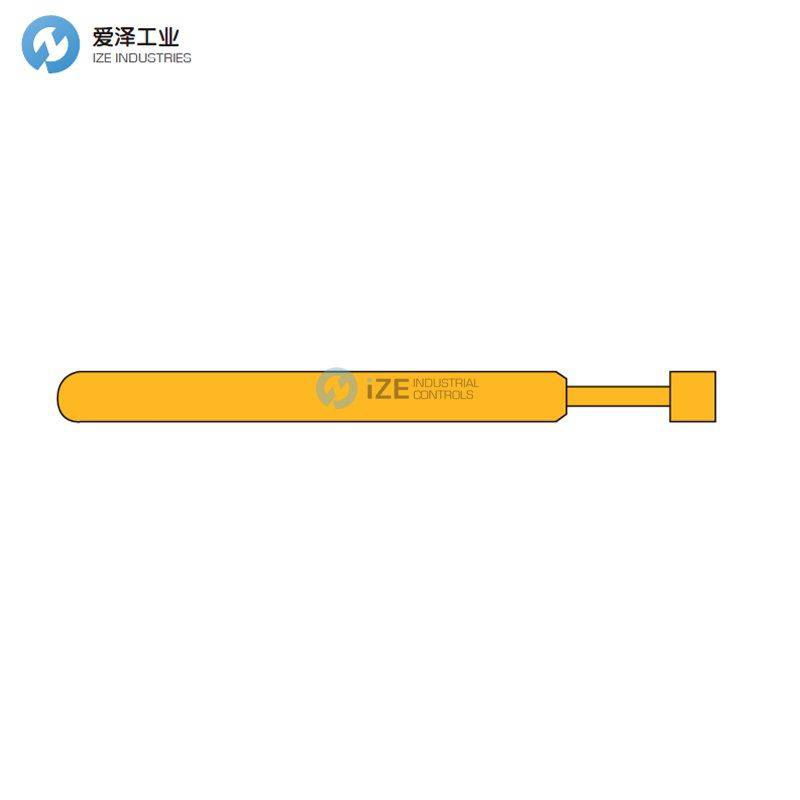 CODA SYSTEMS探针PA2AXPA2AX-阿仪网