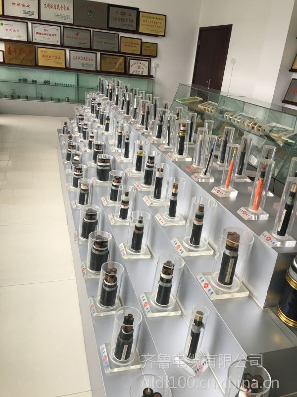 【齐鲁电缆双层共挤绝缘辐照交联无卤低烟阻燃电缆WDZCN-GYJSYJ(F)】价格_厂家-供应商网