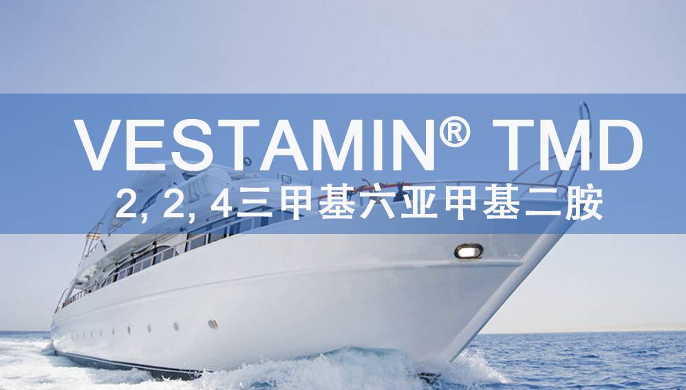 Vestamin Tmd Jean Dominique Foulon Sales Director And Managing