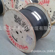 【太平洋通信 GYFTZY-48B1 48芯单模 室外非金属阻燃光缆 导引光缆】价格_厂家-供应商网