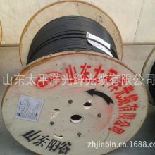 【太平洋通信 GYFTZY-48B1 48芯单模 室外非金属阻燃光缆 导引光缆】价格_厂家-供应商网