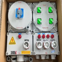 【危化品仓库防爆配电箱Ex db eb IIC T4 Gb-Ex tb IIIC T80℃ Db】价格_厂家-供应商网