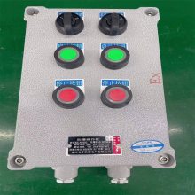 【危化品仓库防爆配电箱Ex db eb IIC T4 Gb-Ex tb IIIC T80℃ Db】价格_厂家-供应商网