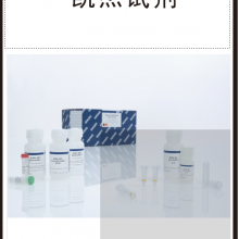 【德国凯杰miRNeasy Mini Kit microRNA提取试剂盒 217004】价格_厂家-供应商网