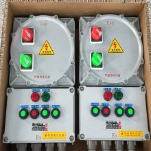 【危化品仓库防爆配电箱Ex db eb IIC T4 Gb-Ex tb IIIC T80℃ Db】价格_厂家-供应商网