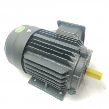 【三相异步电动机 YE4-180L-4 22KW 卧式安装 二级能效等级IP55 可定做电机】价格_厂家-供应商网