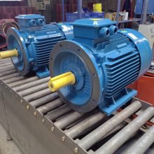 【三相异步电动机 YE4-180L-4 22KW 卧式安装 二级能效等级IP55 可定做电机】价格_厂家-供应商网
