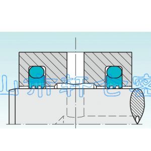 【德国特康 轴用旋转格来圈 Turcon Roto Glyd Ring】价格_厂家-供应商网