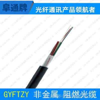 【供应GYFTZY-8B1单模层绞式非金属阻燃光缆8芯架空管道阻燃光缆】价格_厂家-供应商网