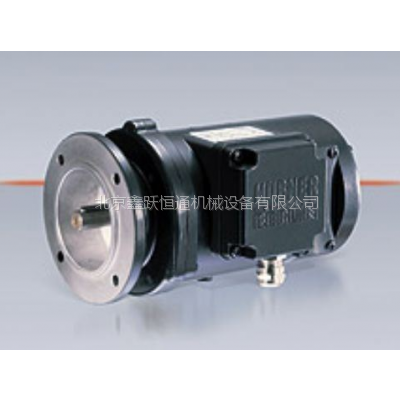 【Dunkermotoren （88427.01060）GR42X25 电机】价格_厂家-供应商网