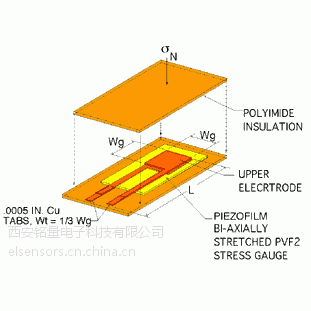 【供应PVF2 11-0.25-EK美国Dynasen PVF，PVDF***压力薄膜传感器】价格_厂家-供应商网