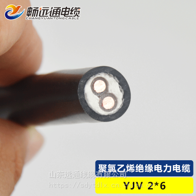 【厂家生产供应 YJV阻燃电缆2芯6平方电缆 纯无氧铜线 两芯电力电缆】价格_厂家-供应商网