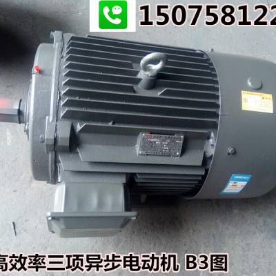 【YE2-100L2-4-3KW系列三相异步电动机衡水永动】价格_厂家-供应商网
