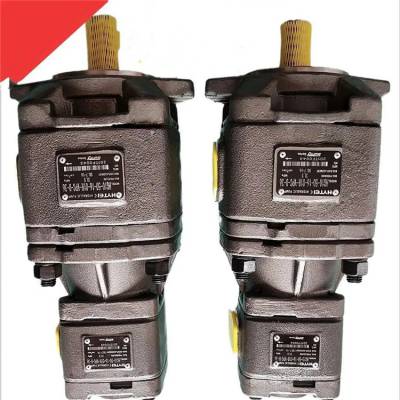 【美国SUNNY桑尼士内啮合齿轮泵HG10-40-10-01R-VSC】价格_厂家-供应商网