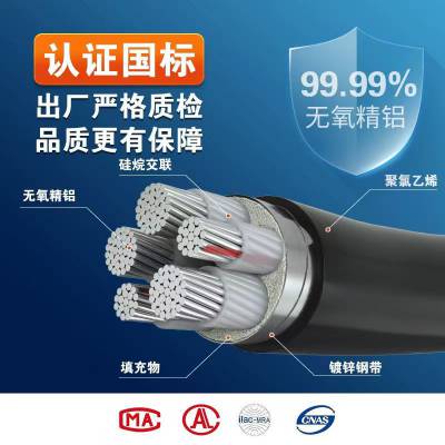 【江南电缆 ZC-YJLHV，0.6/1KV 3*240+1*120阻燃铝合金电力电缆】价格_厂家-供应商网