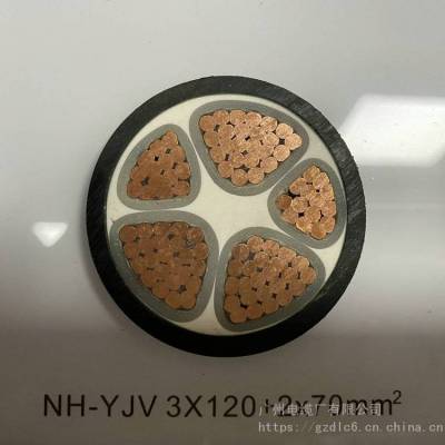 【穗星电缆，阻燃低烟无卤电缆，电缆WDZ-YJY 5*10】价格_厂家-供应商网