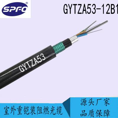 【太平洋光GYTZA53-12B1.3 直埋阻燃铠装光缆 12芯 24芯单模光缆】价格_厂家-供应商网