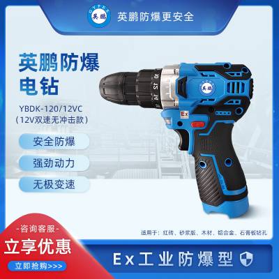 英鹏防爆电钻 打孔 螺丝钻头 非冲击款 YBDK-120/12VC价格 - 推发网